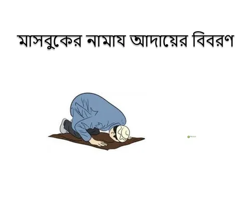 chasht namaz rules: চাশতের নামাযের নিয়ম ও নিয়ত