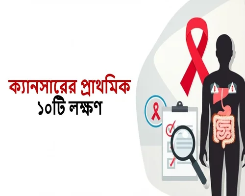 সফেদা ফলের উপকারিতা-sofeda foler upokarita