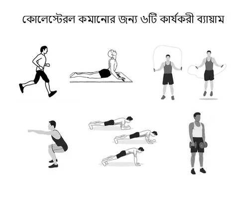 cholesterol komanor beyam-কোলেস্টেরল কমানোর জন্য ৬টি কার্যকরী ব্যায়াম